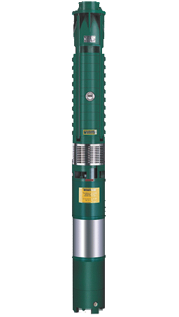 BS Pump : 10 Inch 250mm Borewell Submersible Pumpsets